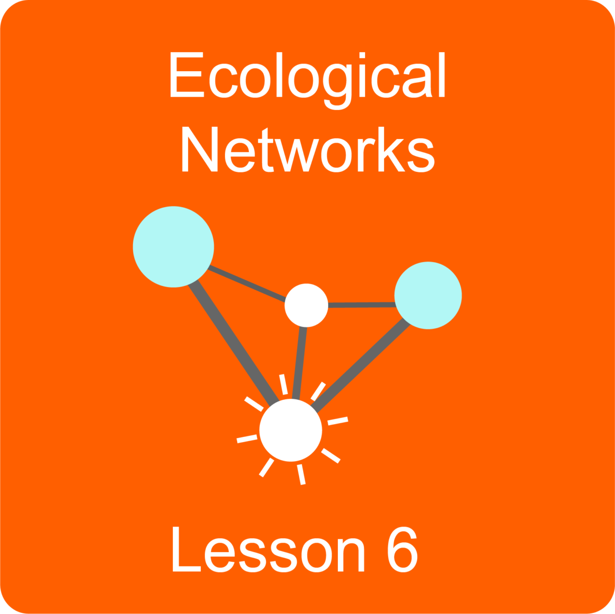 Lesson 6 – Revisiting the GSL NetworkBaliga Systems Education Experiences