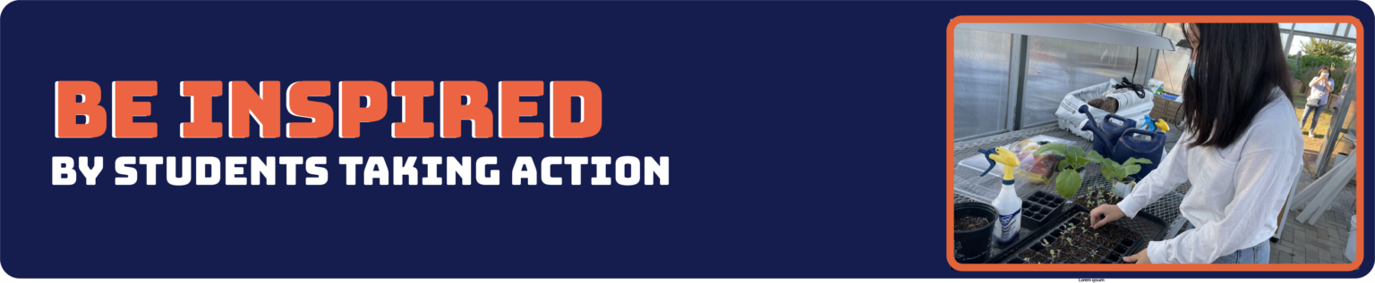 Baliga Systems Education Experiences