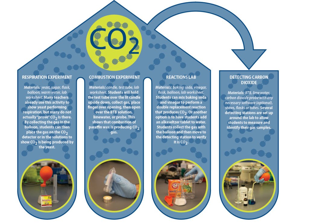 Lesson 2 – Exploring CO2 to Better Understand Ocean AcidificationBaliga ...