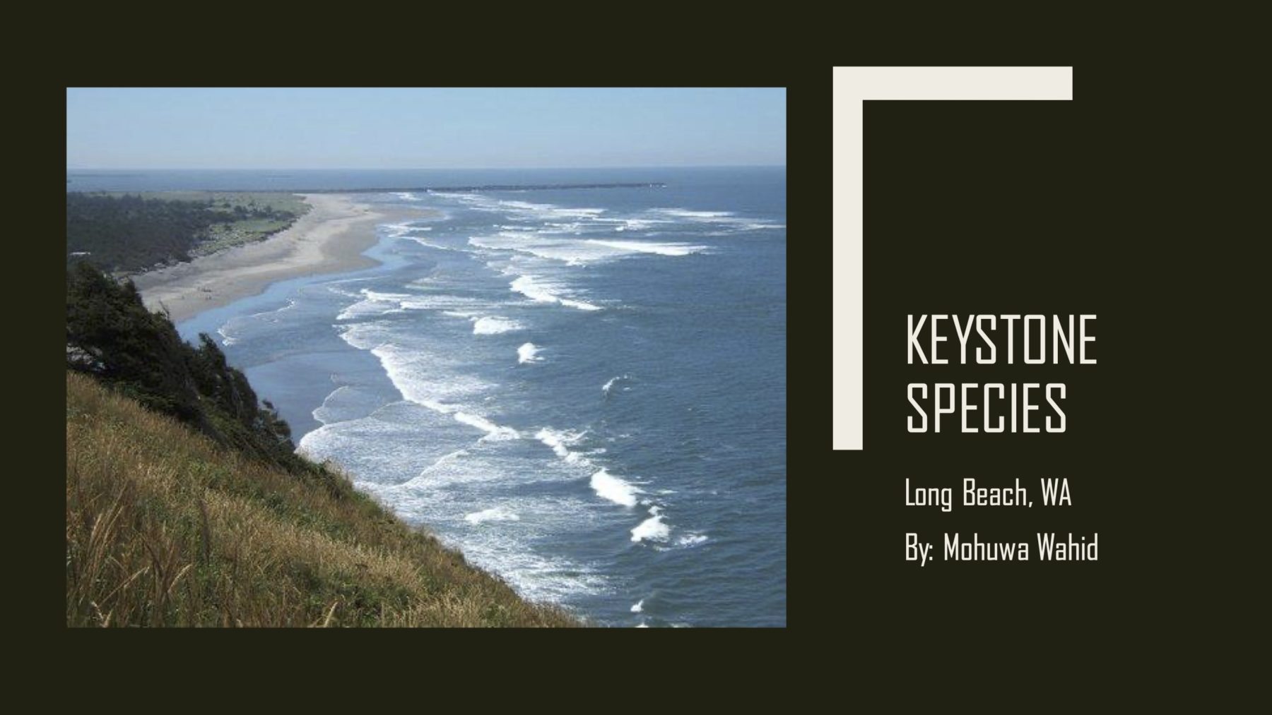 Keystone Species ProjectBaliga Systems Education Experiences