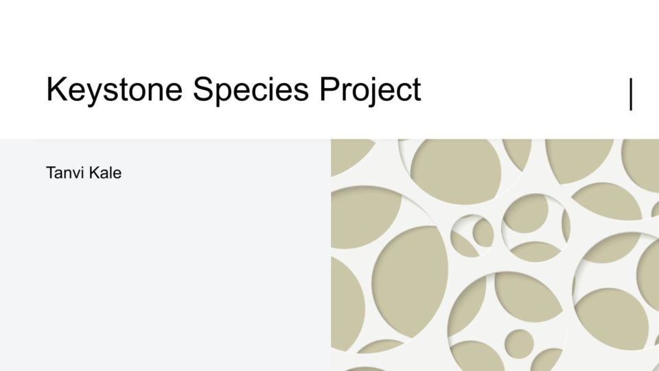 Keystone Species ProjectBaliga Systems Education Experiences