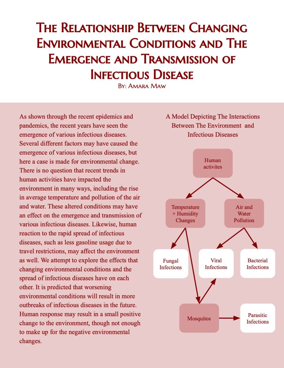Amara MawBaliga Systems Education Experiences