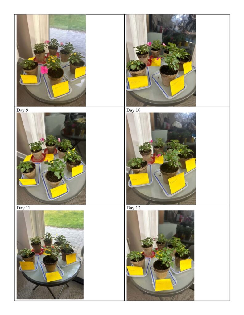 Elizabeth LeungBaliga Systems Education Experiences