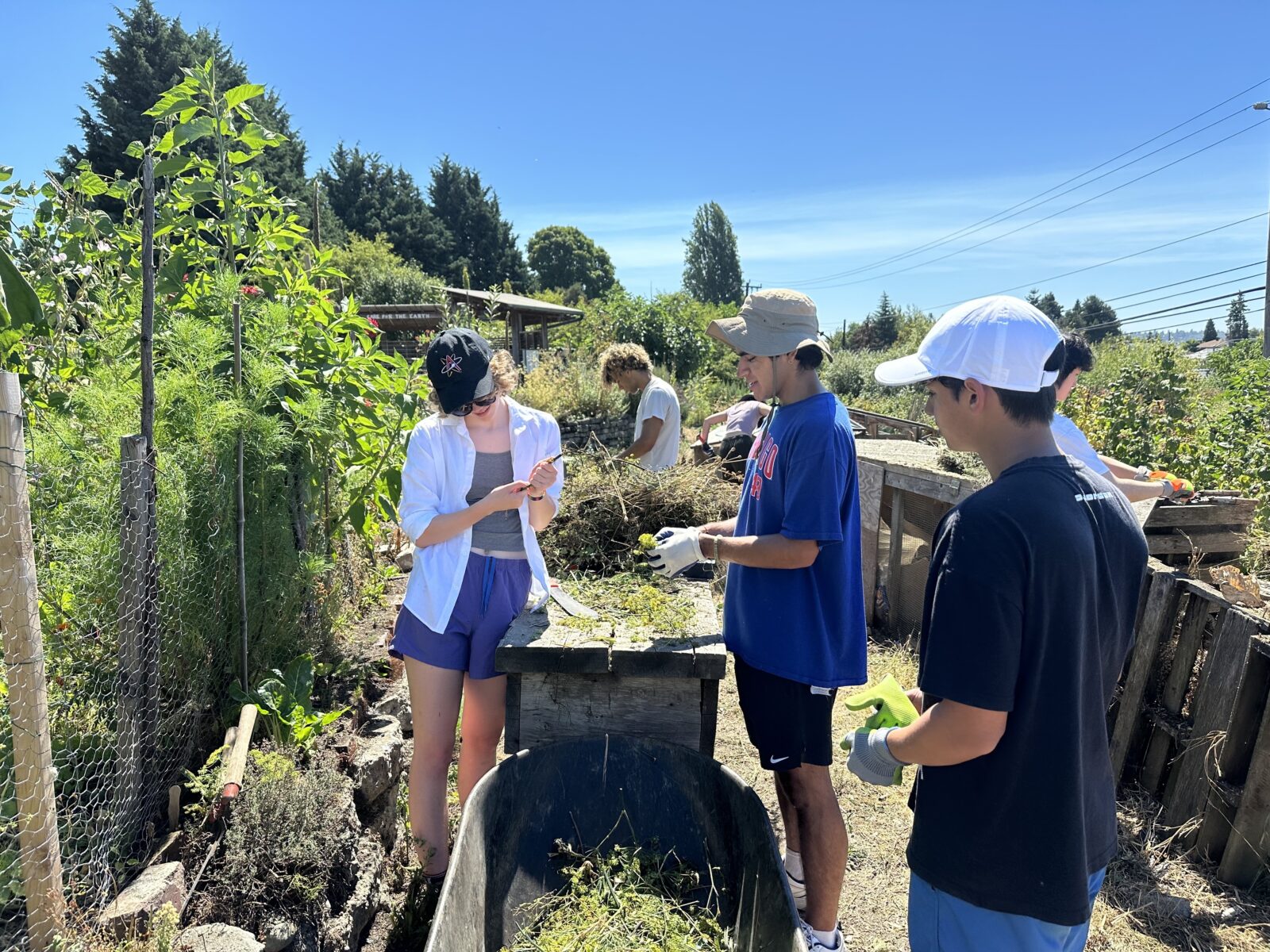 Environmental Systems in the Outdoors Research ExperienceBaliga Systems ...